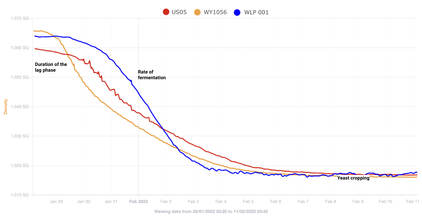 Elevate Consistency Through Real-Time Data – Brewer Magazine