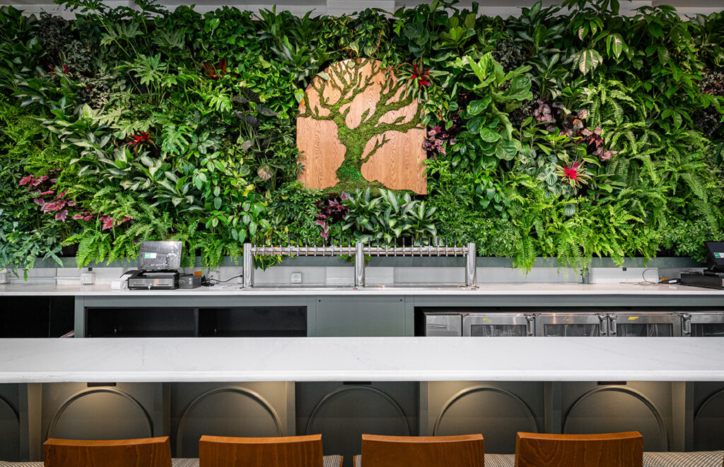 Alcove by MadTree Now Open – https://thebrewermagazine.com