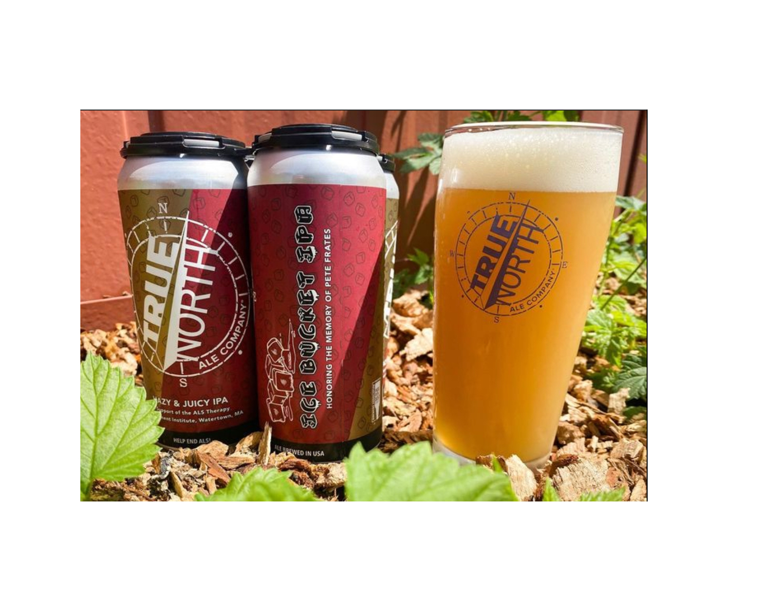 True North Ale Releases Ice Bucket IPA - Brewer Magazine