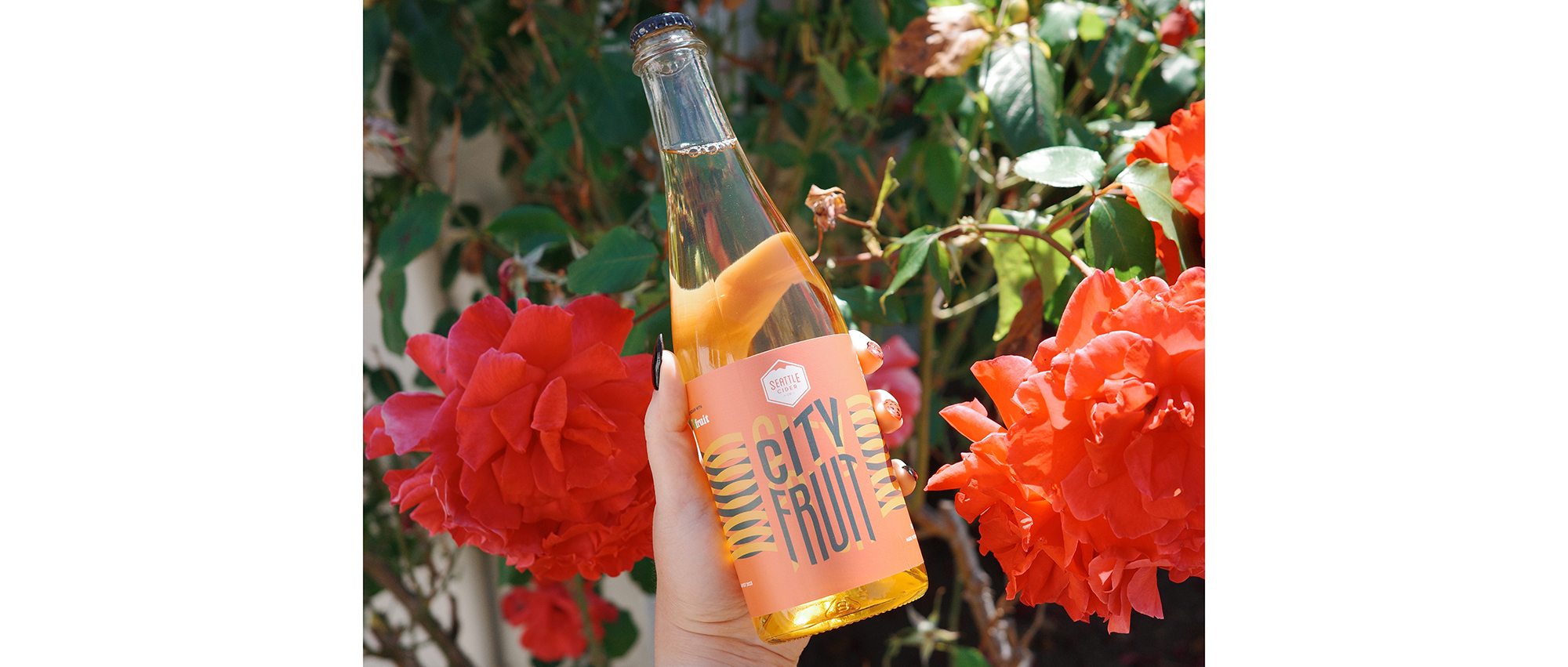 Seattle Cider, City Fruit Partner to Celebrate Release of Annual Cider ...
