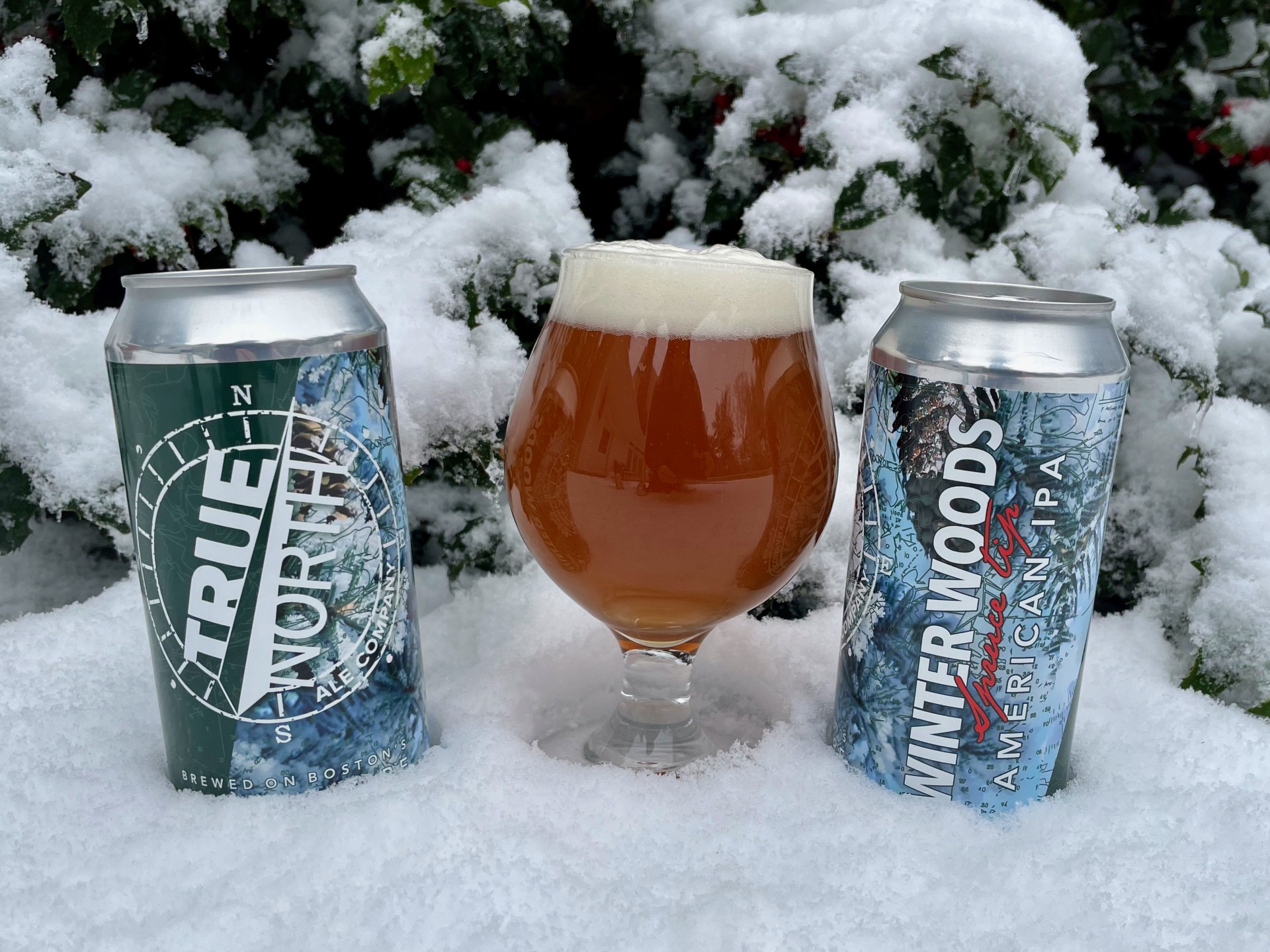 True North Ales Launches Winter Woods American IPA with Spruce Tips ...