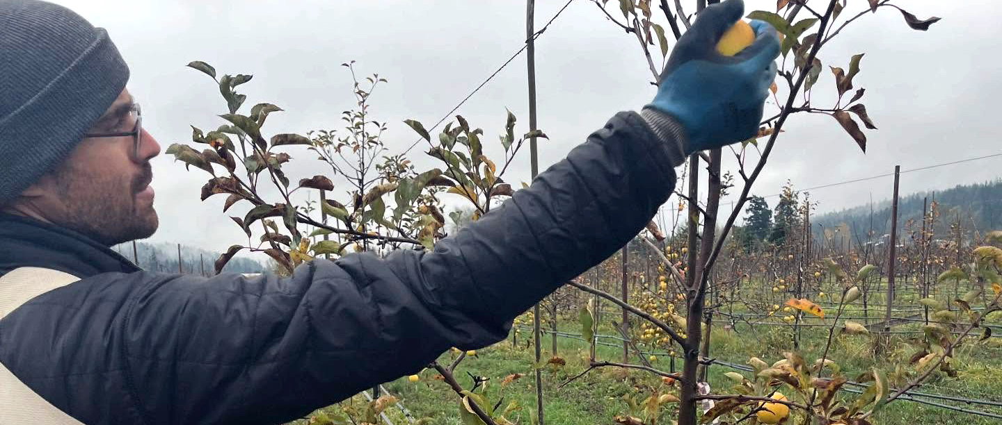 Why Finnriver Bets on Biodiversity to Weather Climate Pressures and ...